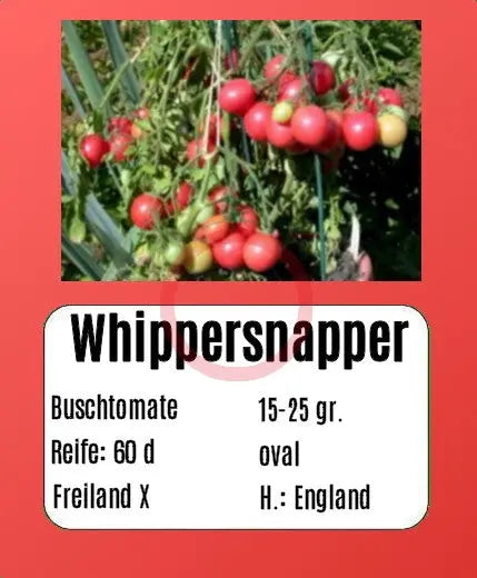 Whippersnapper – DER TOMATENFLÜSTERER